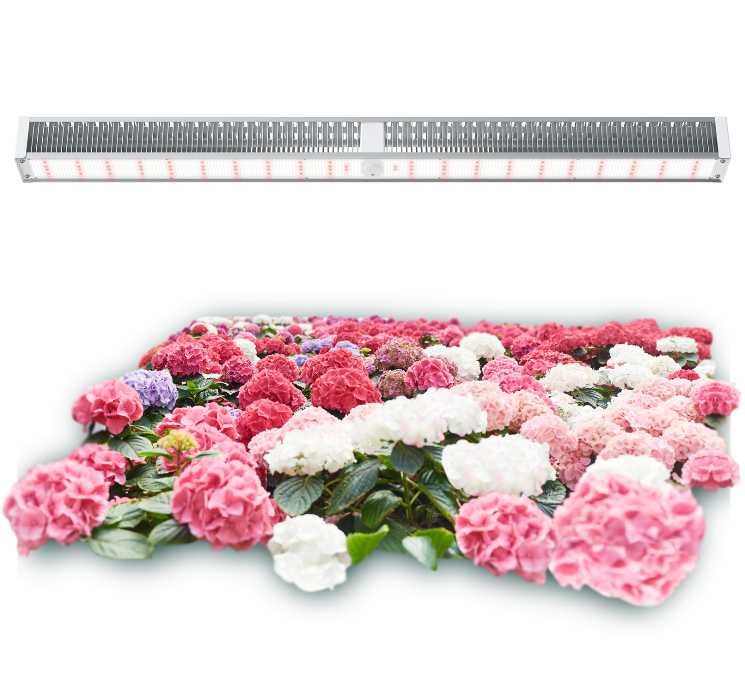 Aron Light – Horticultural Lighting